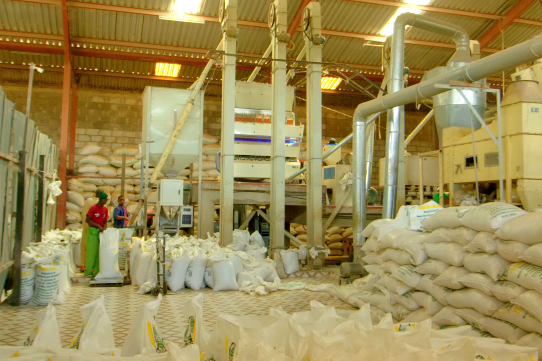 Empowering Africa through Paddy Farming | KUBOTA STORIES | Kubota ...